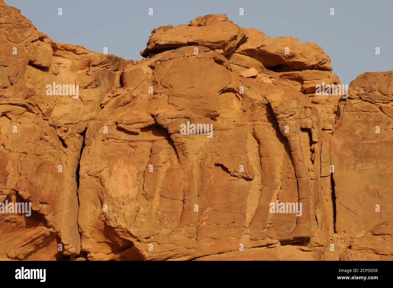 Saudi arabia camel sculpture hi-res stock photography and images - Alamy