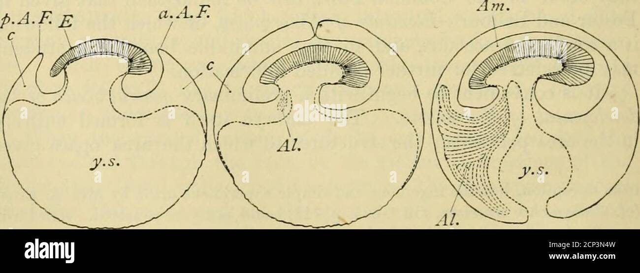 Generative parts hi-res stock photography and images - Alamy