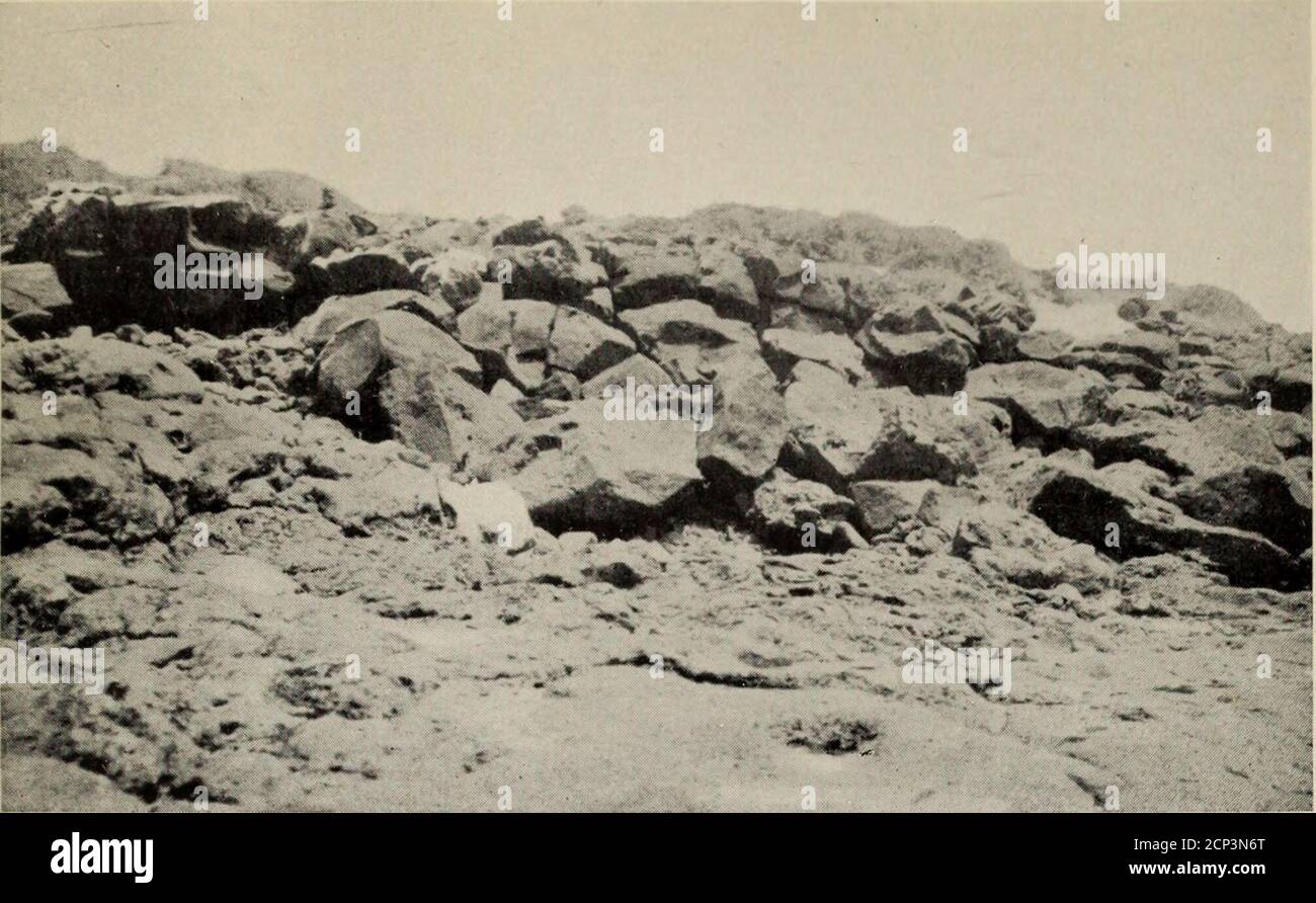 Almond rod hi-res stock photography and images - Alamy