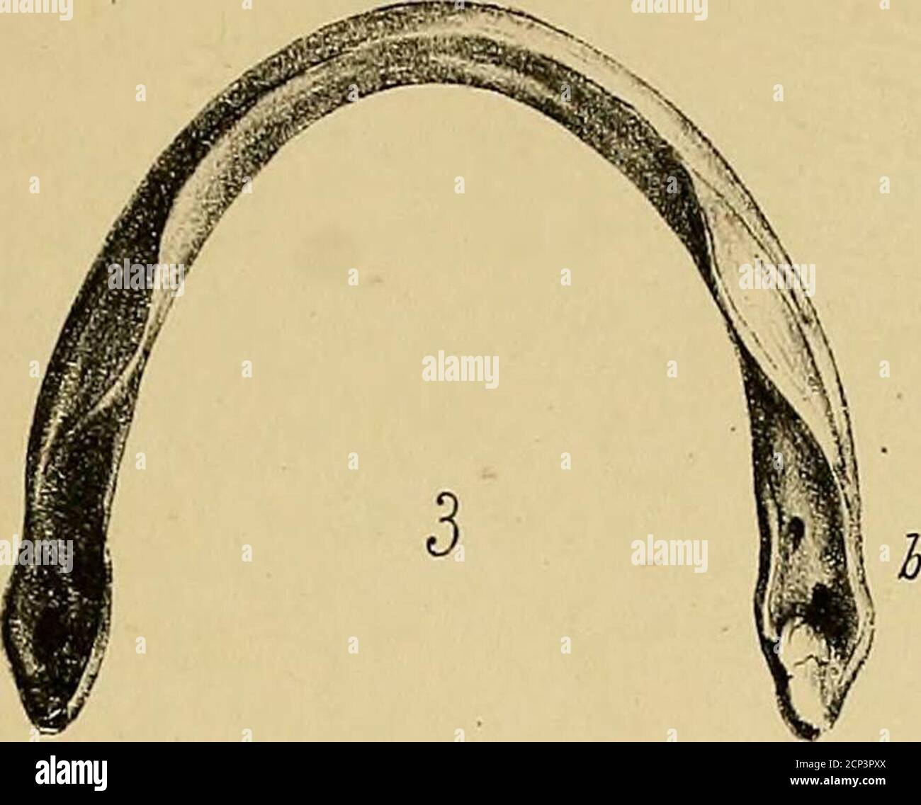 Less triangular elevation hi-res stock photography and images - Alamy