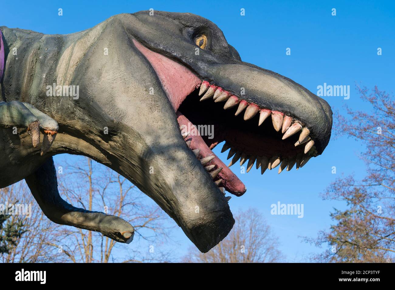 Saurian, dinosaur, tyrannosaurus rex, styrofoam, figure Stock Photo - Alamy