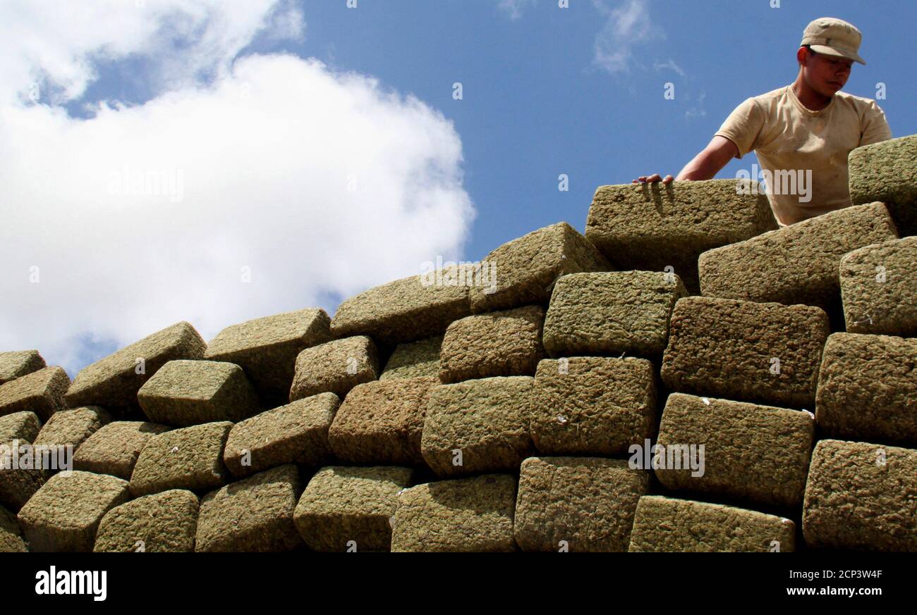 Mexican border soldier hi-res stock photography and images - Alamy