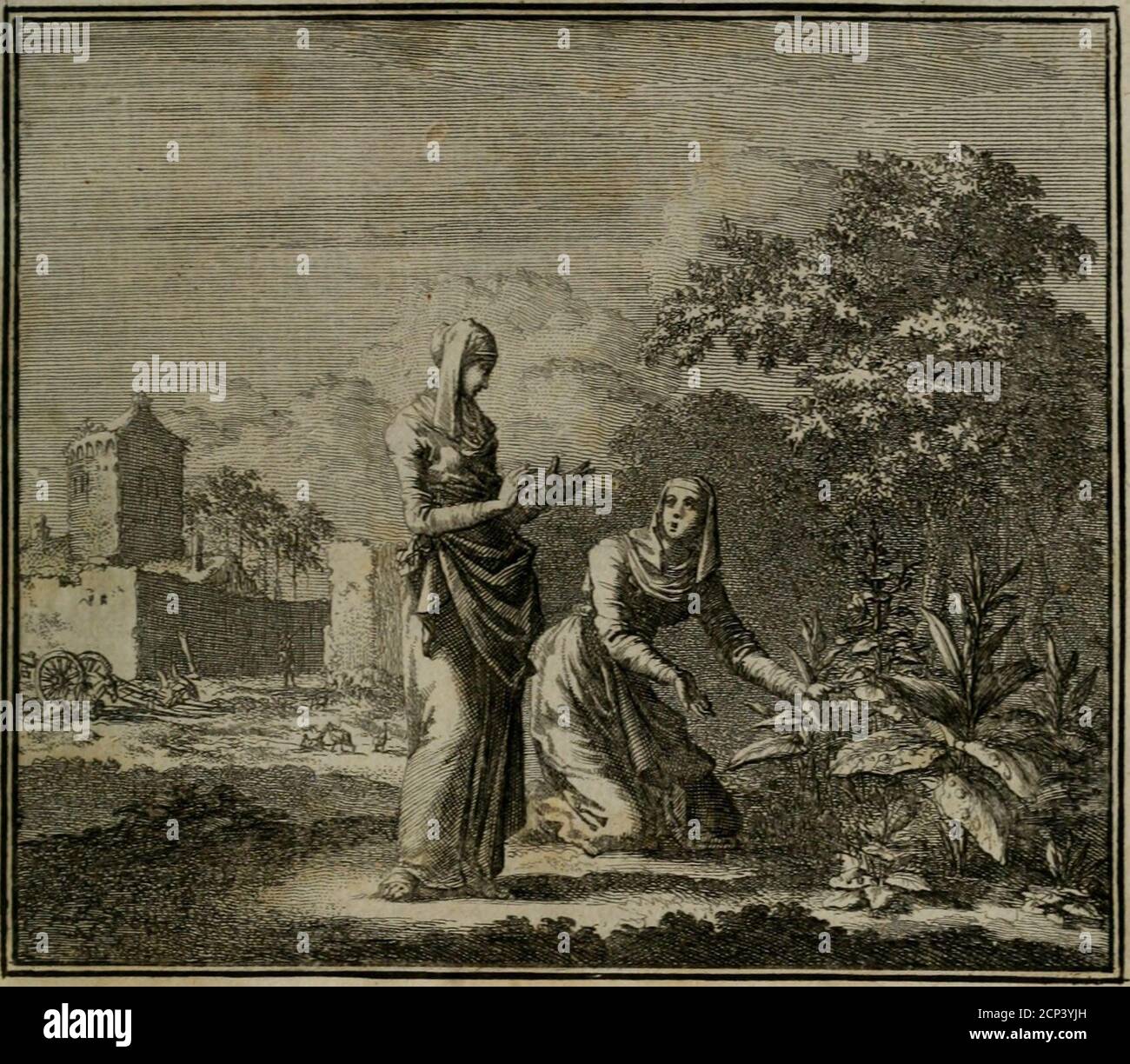 Rogas hi-res stock photography and images - Alamy