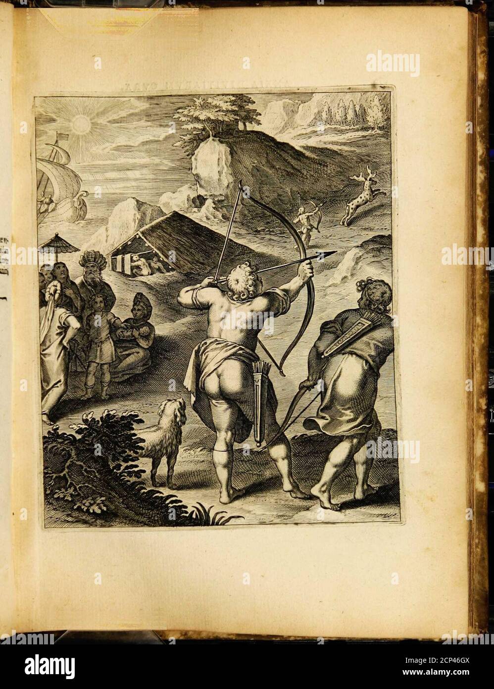 Volpe morta hi-res stock photography and images - Alamy