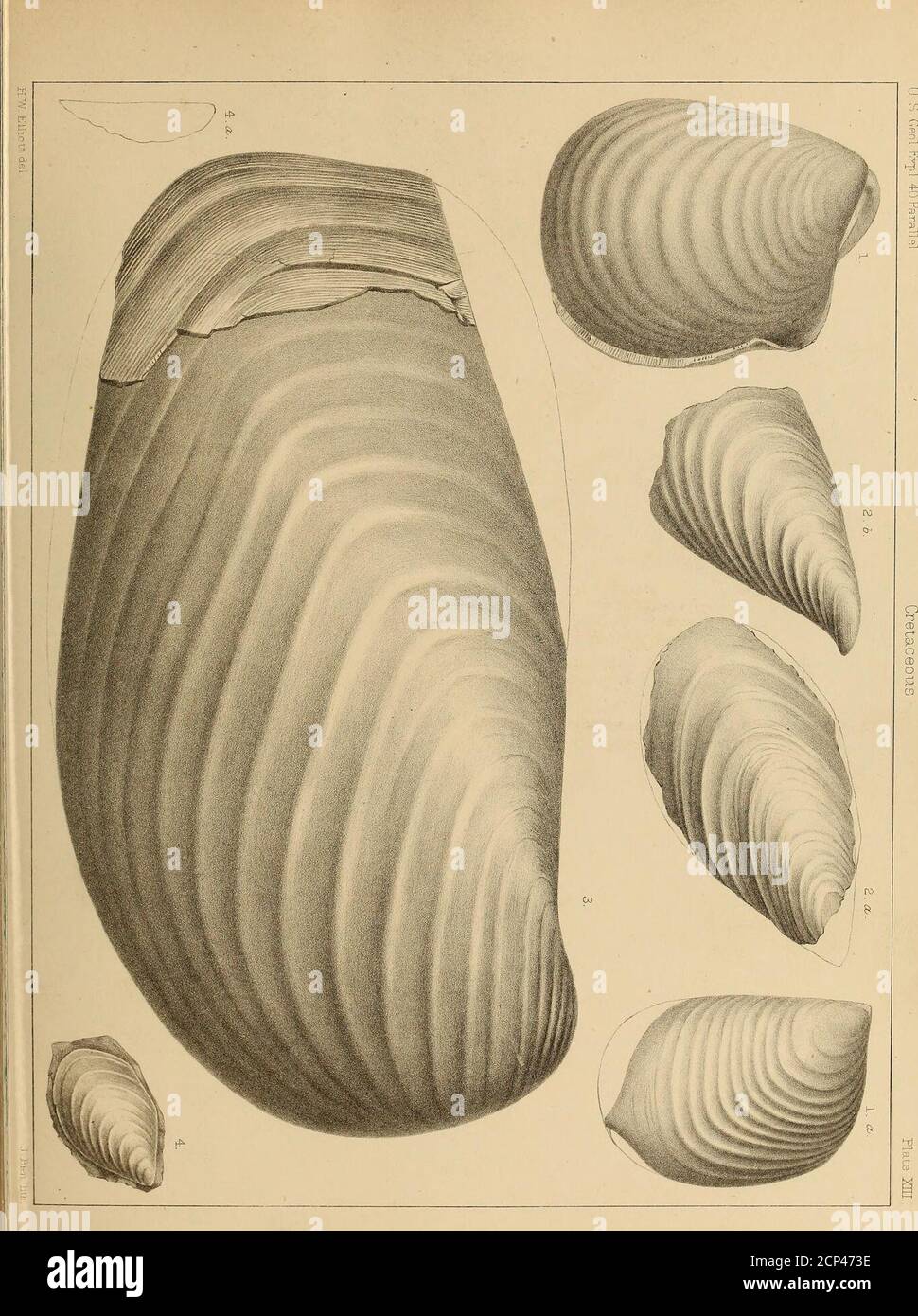 . Report of the Geological exploration of the fortieth parallel . l! I ...