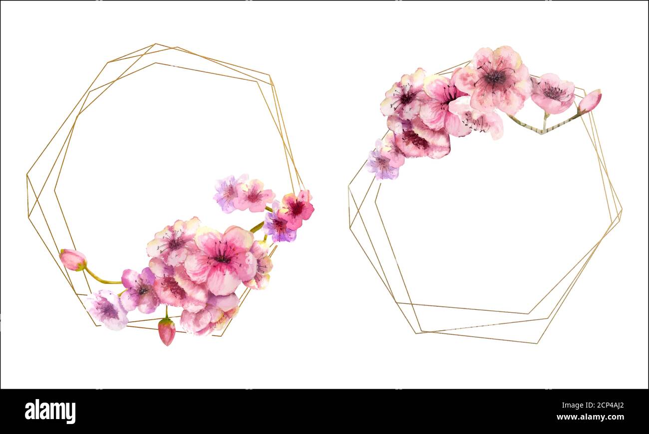 Cherry blossom, Sakura branch with pink flowers on gold frame and ...