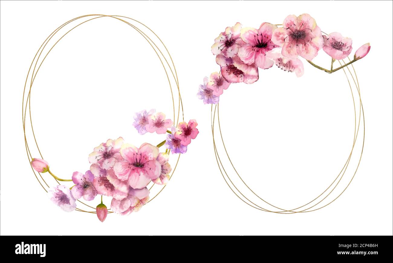 Cherry blossom, Sakura branch with pink flowers on gold frame and ...