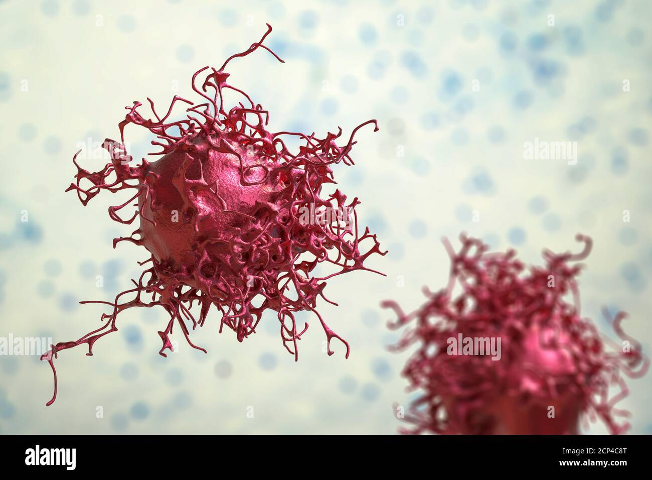 Cervical cancer cells hi-res stock photography and images - Alamy