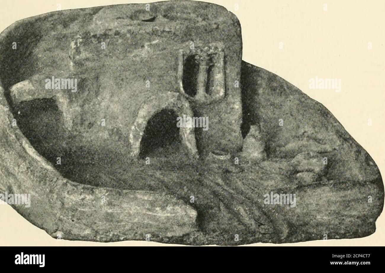 . A guide to the third and fourth Egyptian rooms : predynastic ...