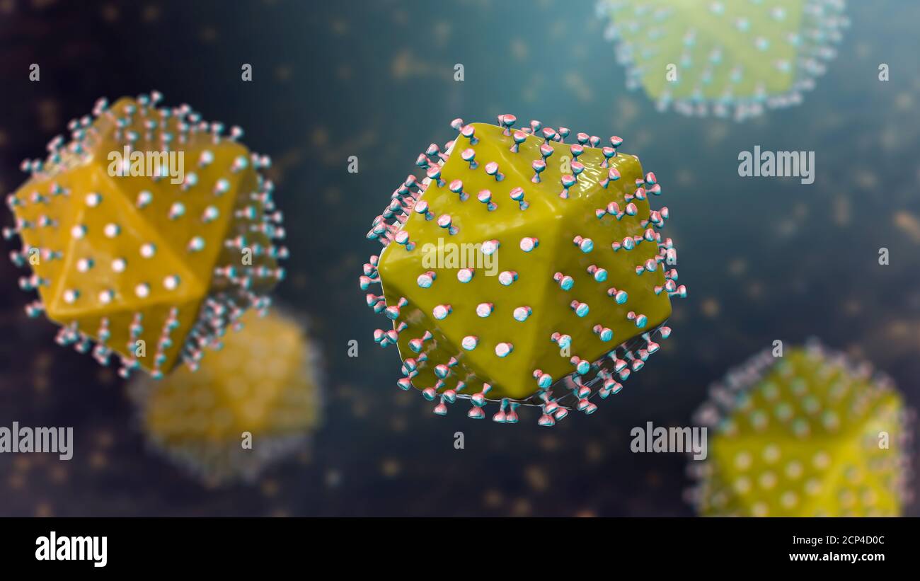 African swine fever virus, illustration. This virus is a member of the ...