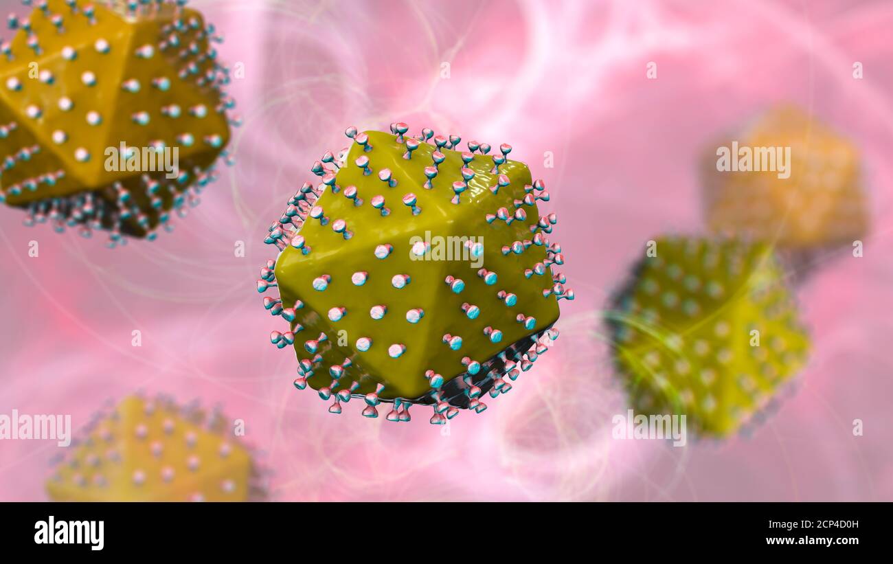 African swine fever virus, illustration. This virus is a member of the ...