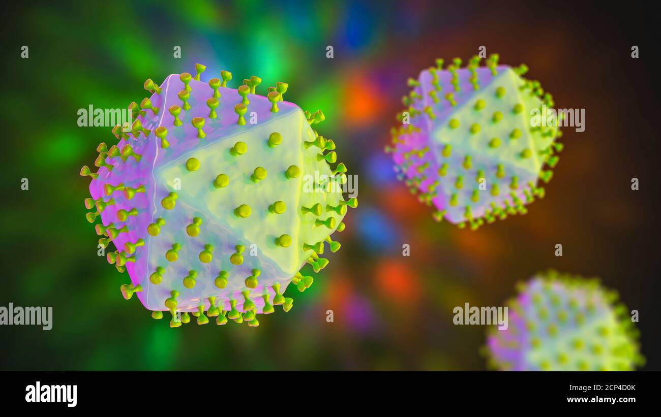 African swine fever virus, illustration. This virus is a member of the ...