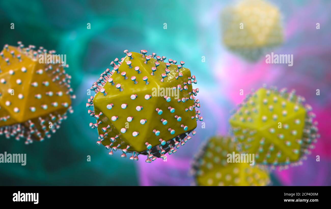 African swine fever virus, illustration. This virus is a member of the ...