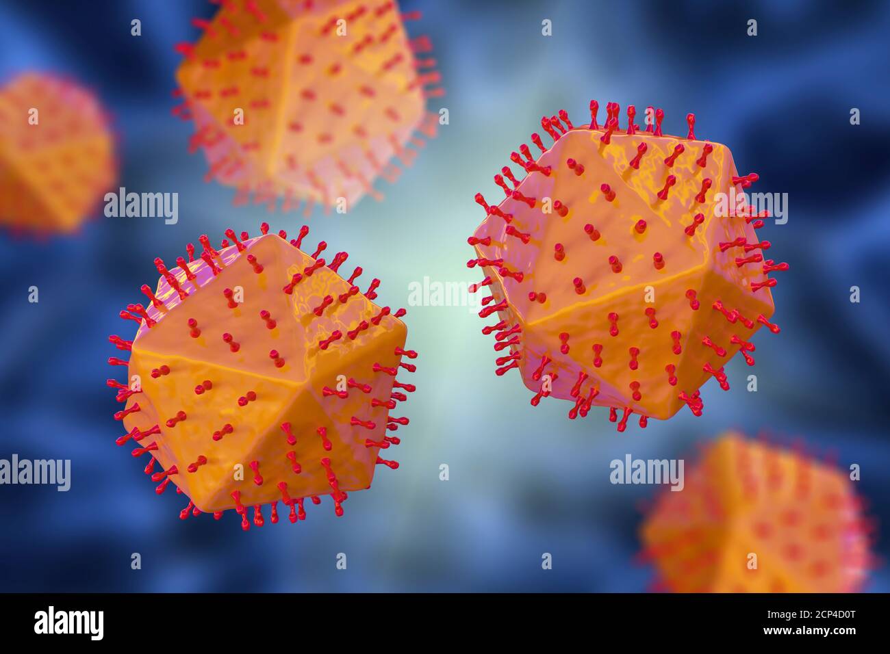 African swine fever virus, illustration. This virus is a member of the ...
