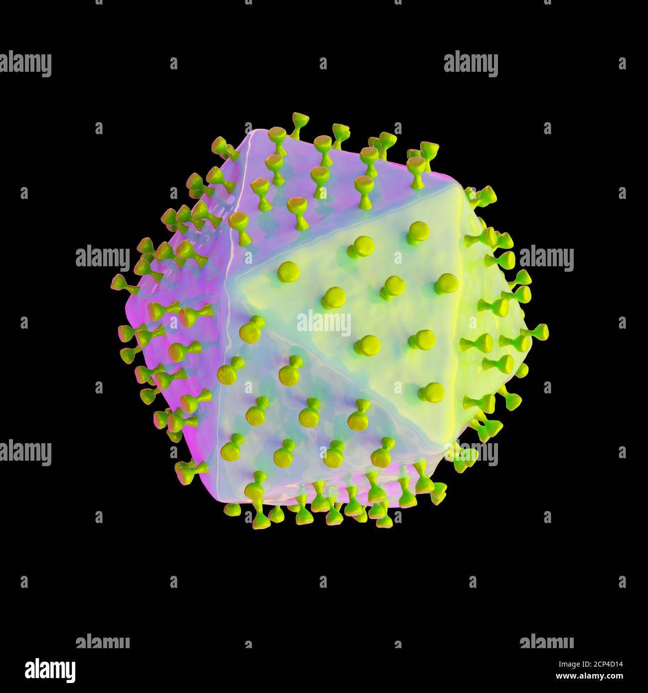 African swine fever virus, illustration. This virus is a member of the ...