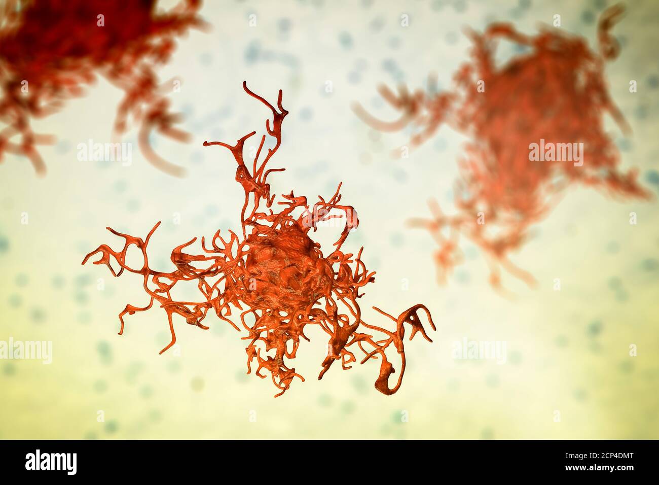 Amoeba, computer illustration Stock Photo - Alamy