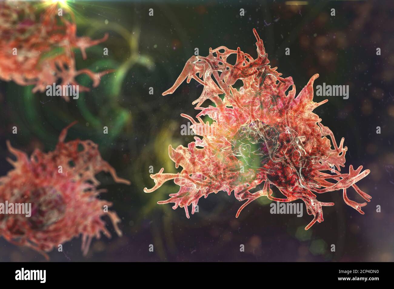 Amoeba, computer illustration Stock Photo - Alamy
