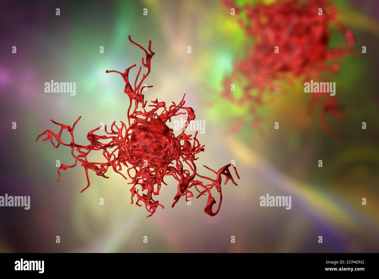Amoeba, computer illustration Stock Photo - Alamy