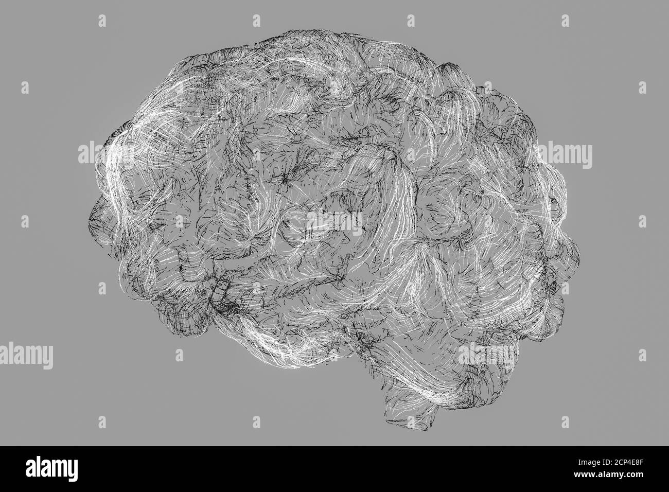 Neural brain anatomy neuron hi-res stock photography and images - Alamy