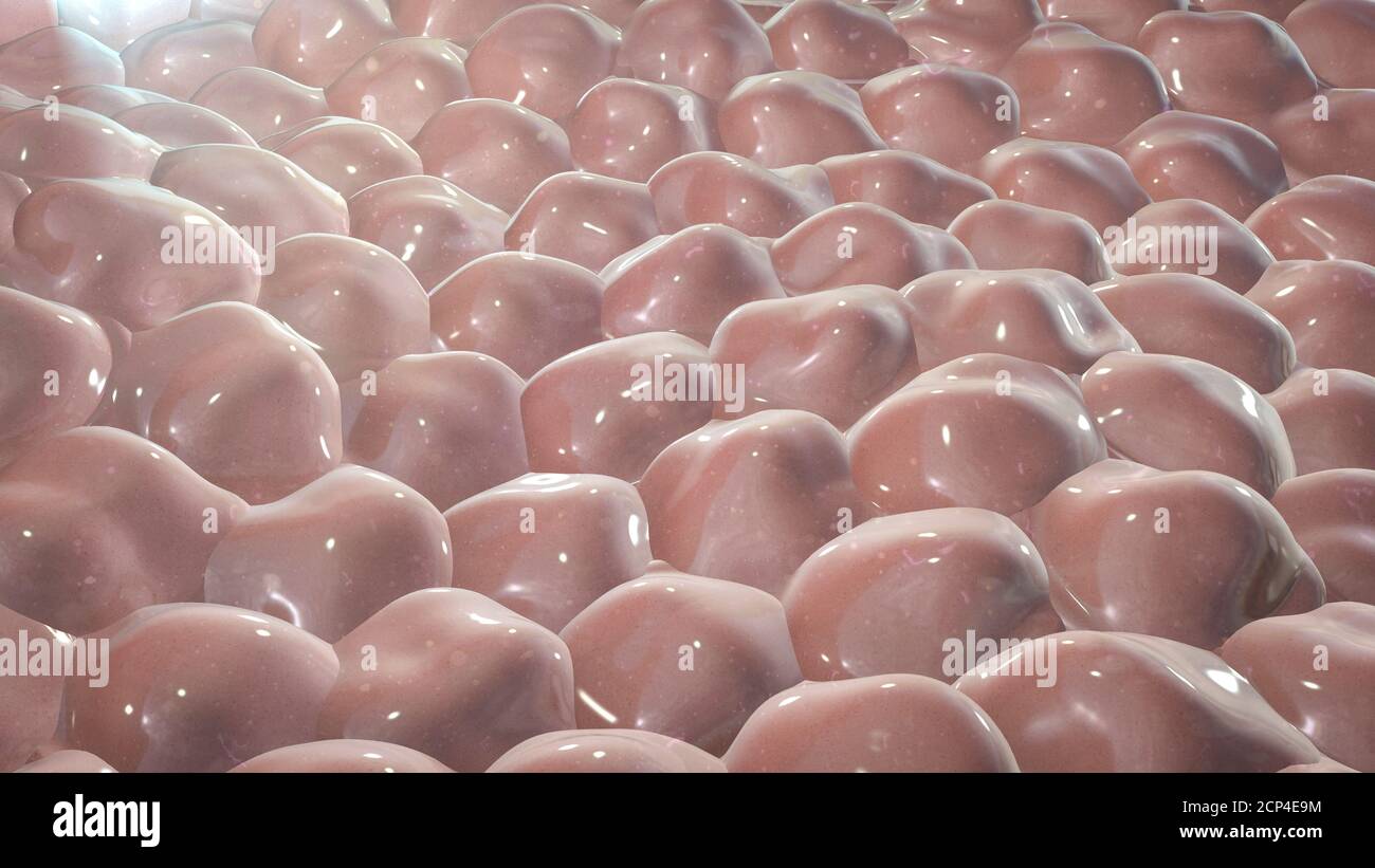 Human skin cells artwork hi-res stock photography and images - Alamy
