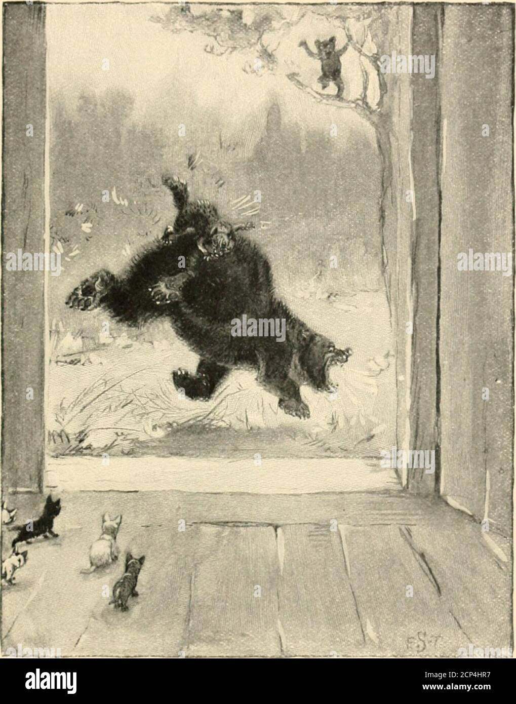 Big five drawings hi-res stock photography and images - Alamy