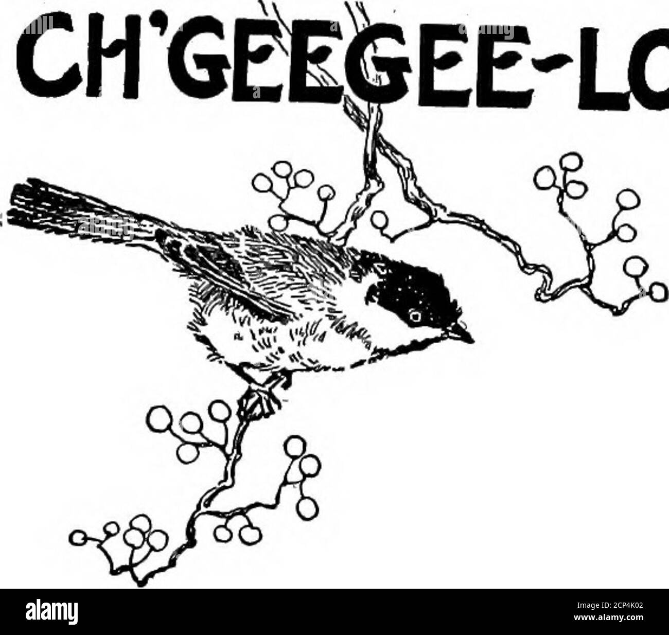 Lokh hi-res stock photography and images - Alamy