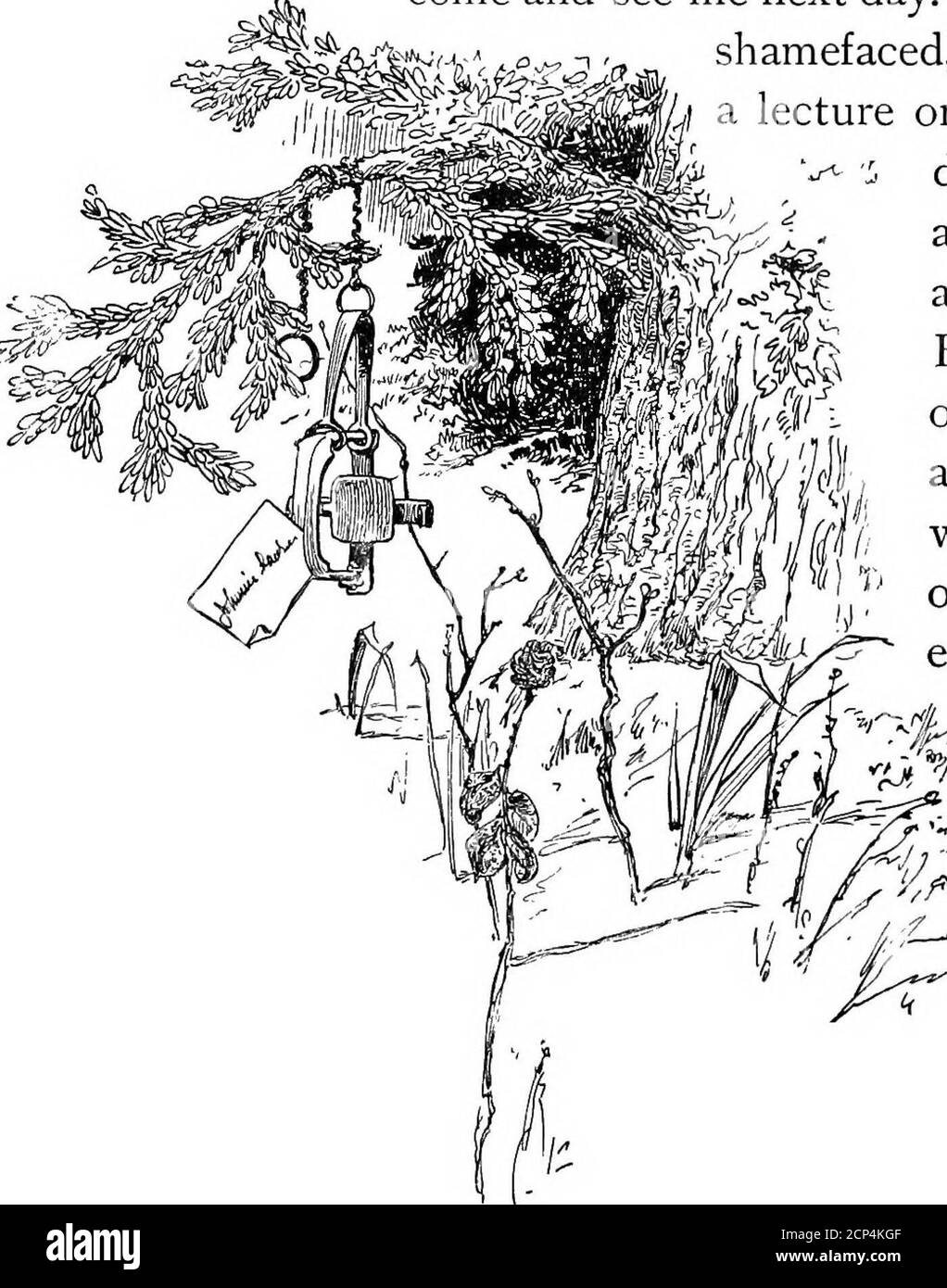 Partridge spot Black and White Stock Photos & Images - Alamy