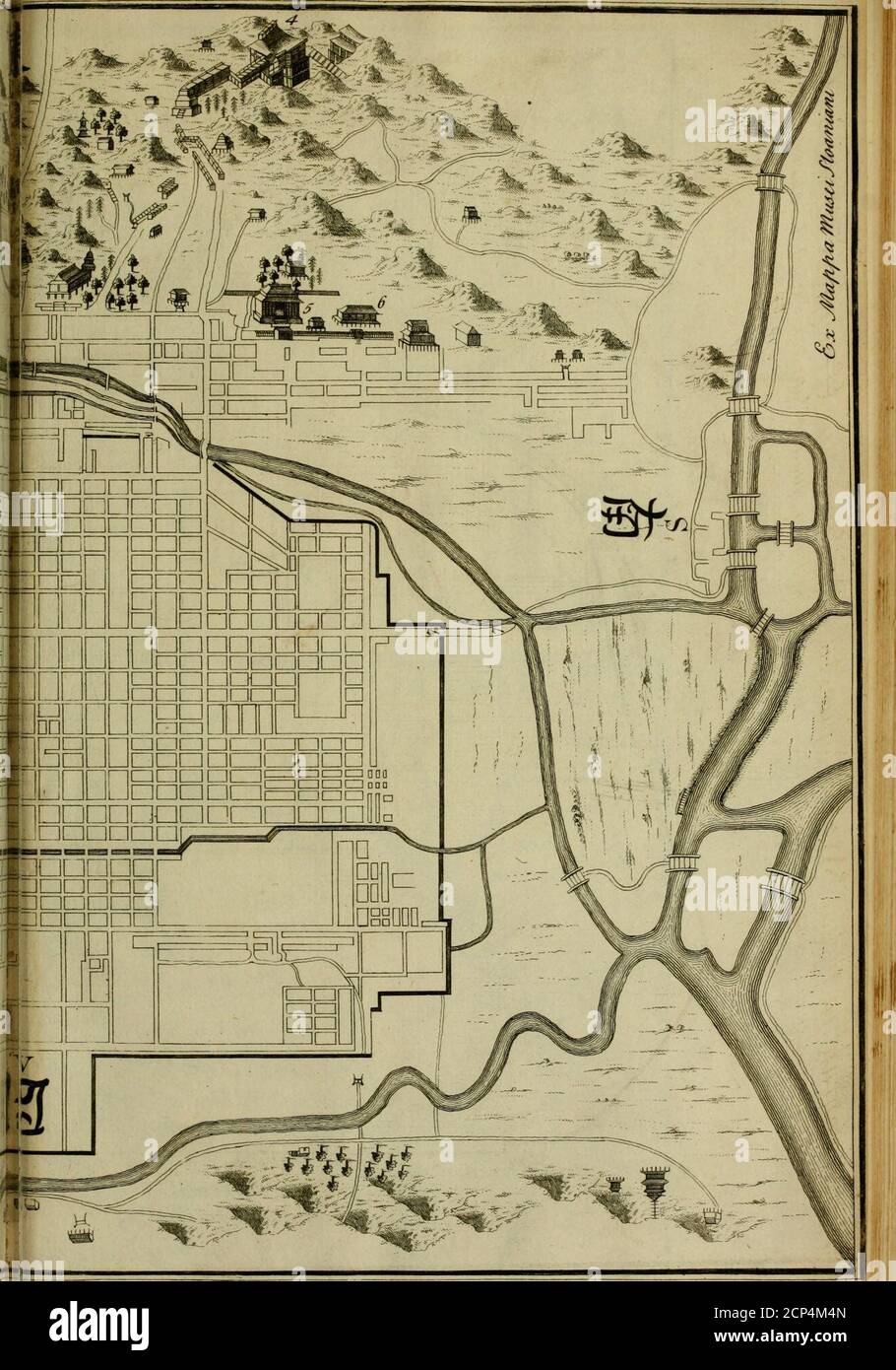 Secular Plants High Resolution Stock Photography and Images - Alamy