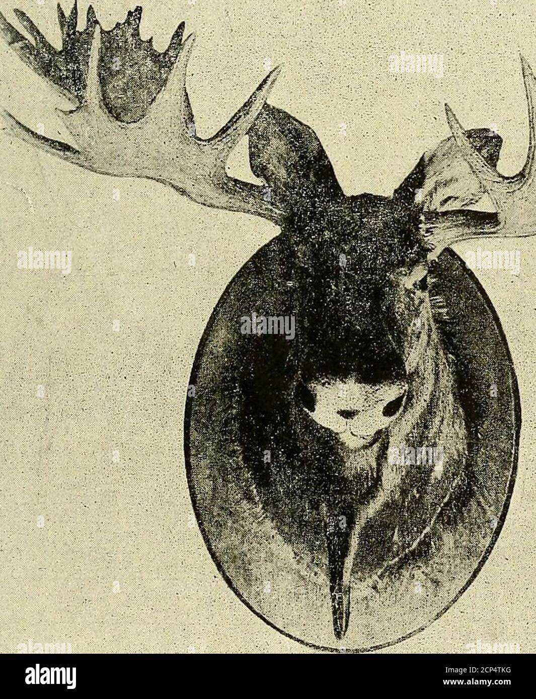 . The Oölogist: for the student of birds, their nests and eggs ...