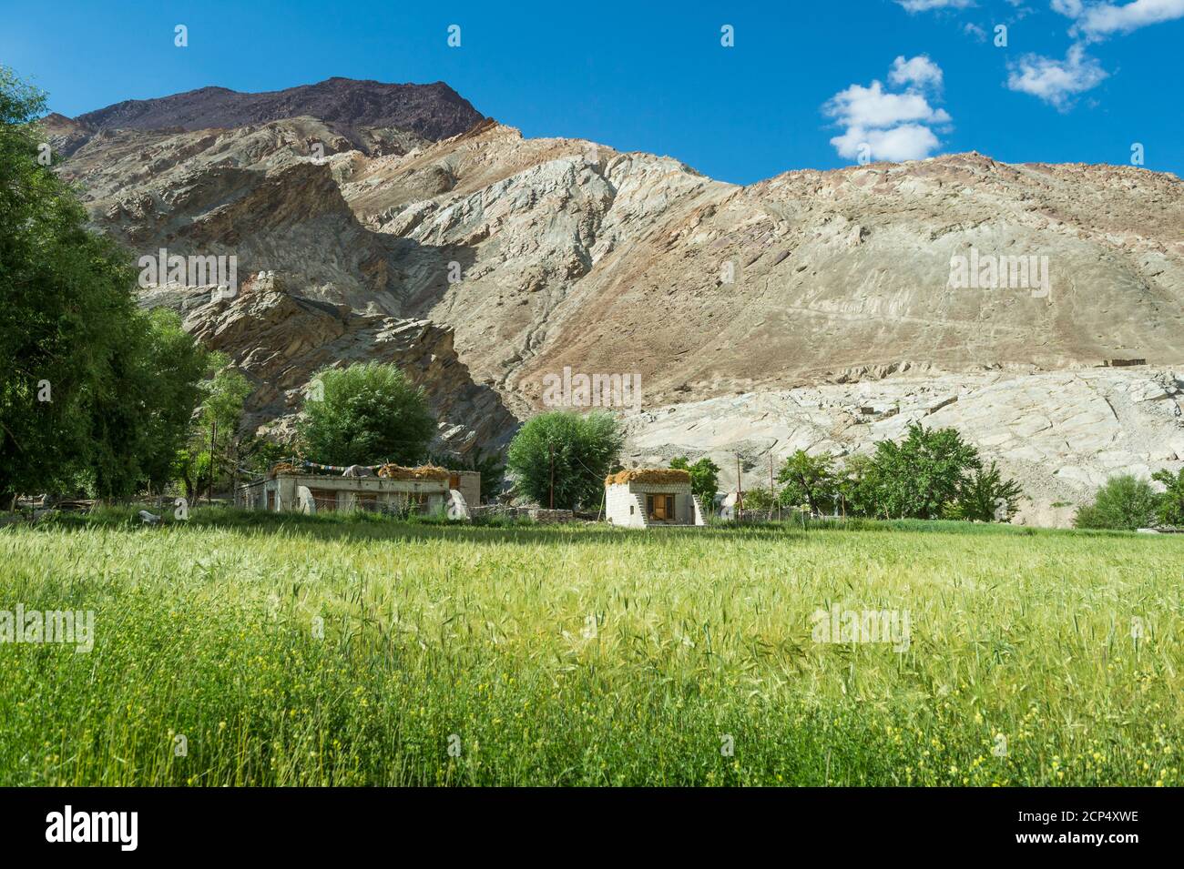 the village of Chilling in the Hemis National Park Stock Photo - Alamy