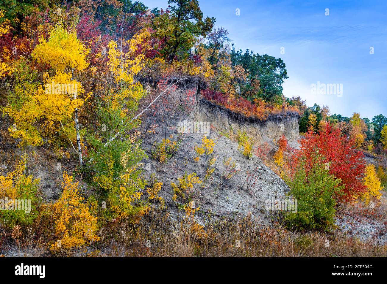 Fall foliage color in the La Riviere Valley, Manitoba, Canada Stock ...