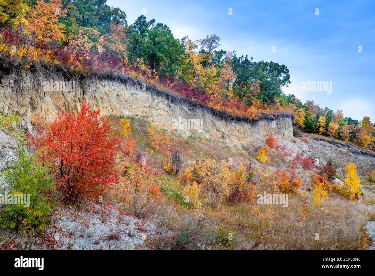Fall foliage color in the La Riviere Valley, Manitoba, Canada Stock ...