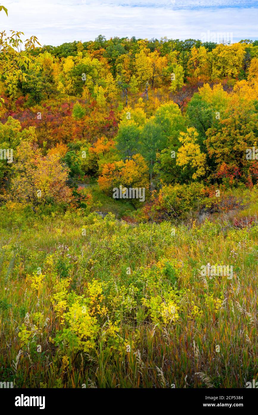 Fall foliage color in the La Riviere Valley, Manitoba, Canada Stock ...