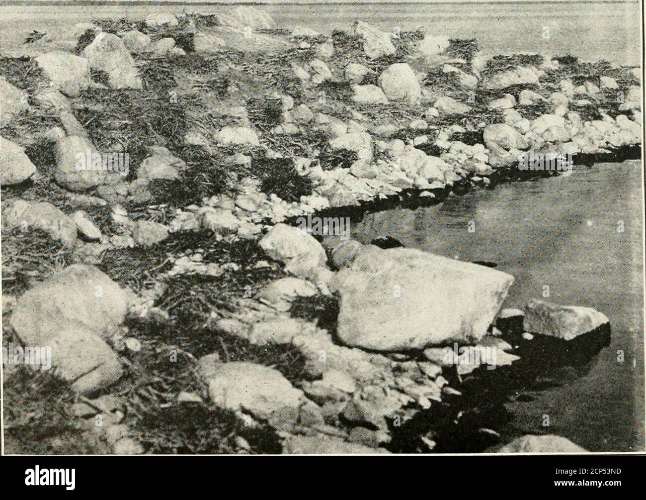 Lake winnipegosis manitoba hi-res stock photography and images - Alamy