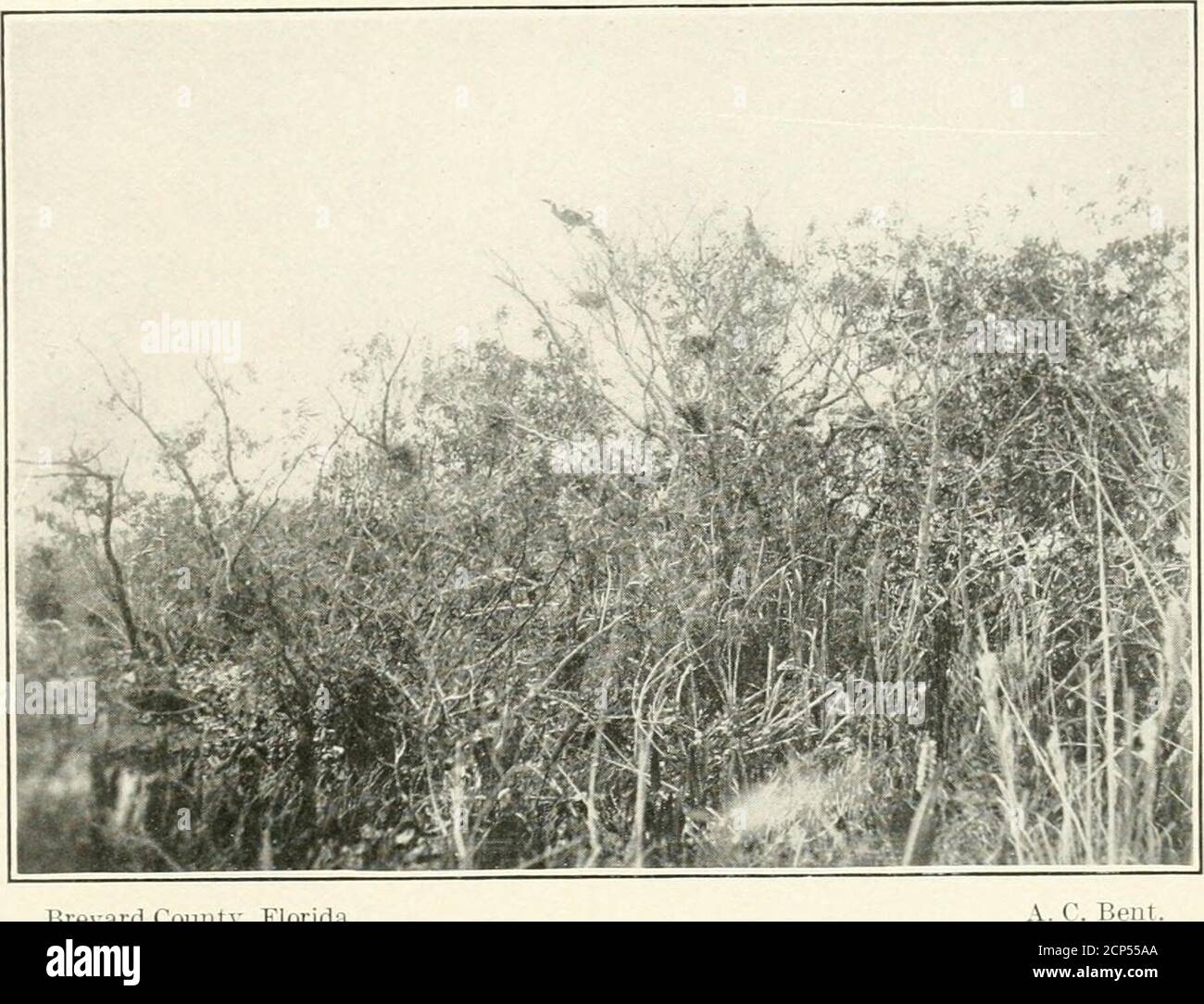 Open muddy areas hi-res stock photography and images - Alamy