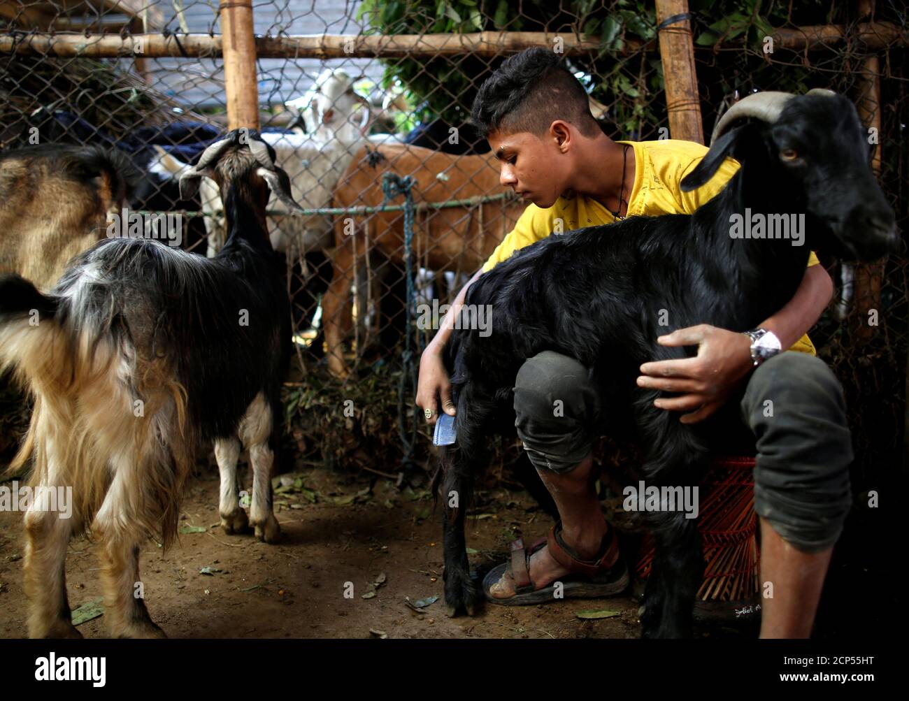 Kathmandu dashain festival hi-res stock photography and images - Alamy