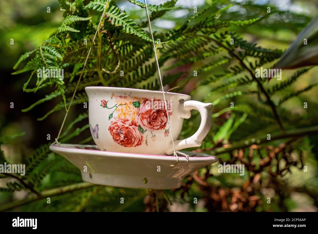 A decorative teacup and saucer hanging in the garden Stock Photo - Alamy