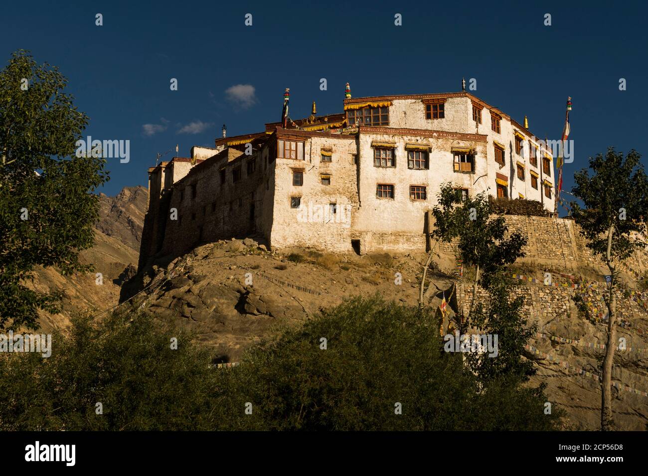 the Bardan Gompa monastery Stock Photo - Alamy