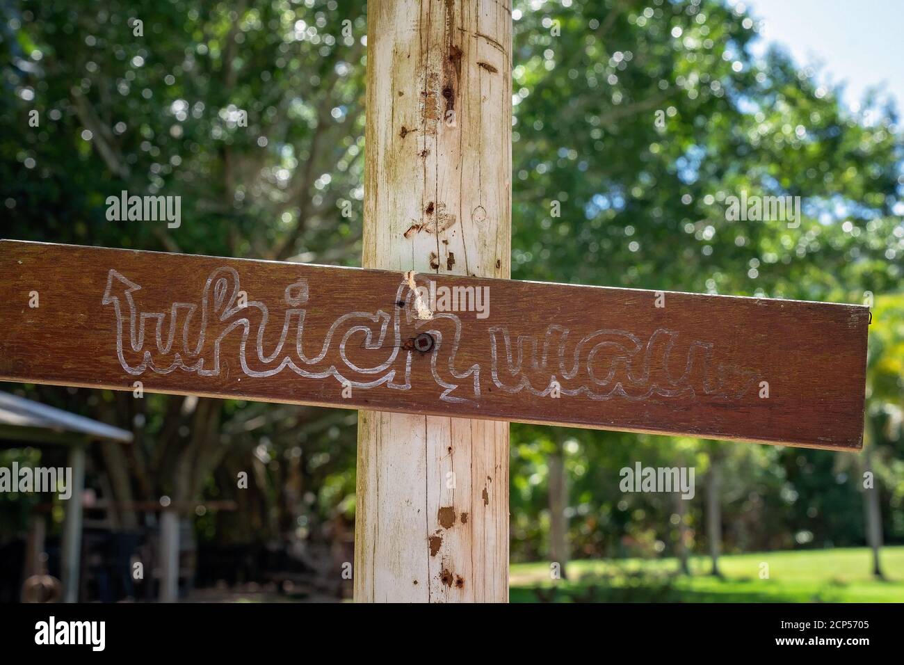 Which Way fun and decorative timber sign in the garden Stock Photo - Alamy