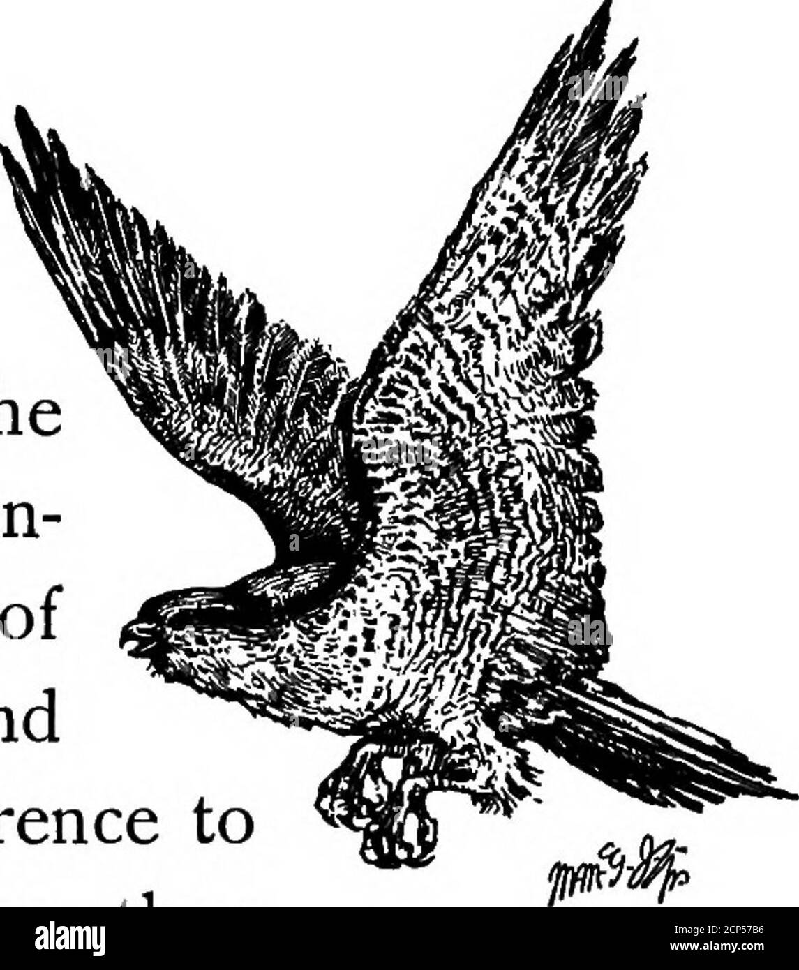 Birds Omens High Resolution Stock Photography and Images - Alamy