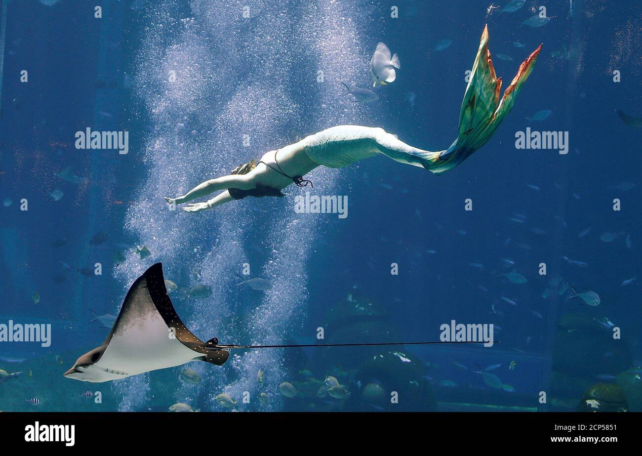 Mermaid lagoon hi-res stock photography and images - Alamy