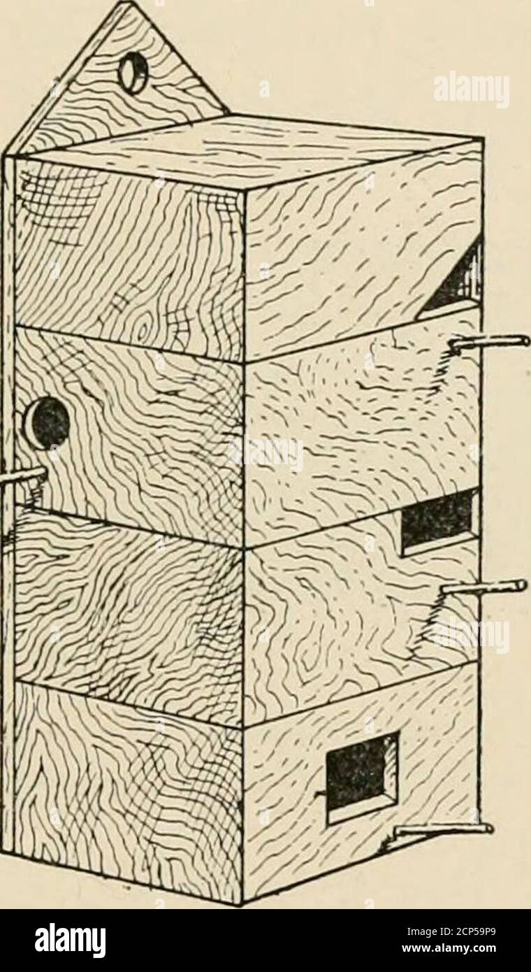 Four bird boxes hi-res stock photography and images - Alamy
