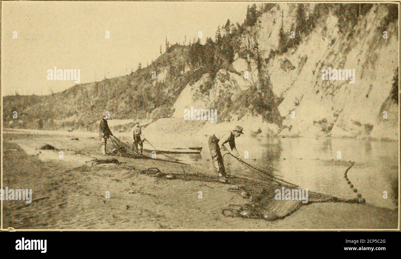 Wassentenced hi-res stock photography and images - Alamy