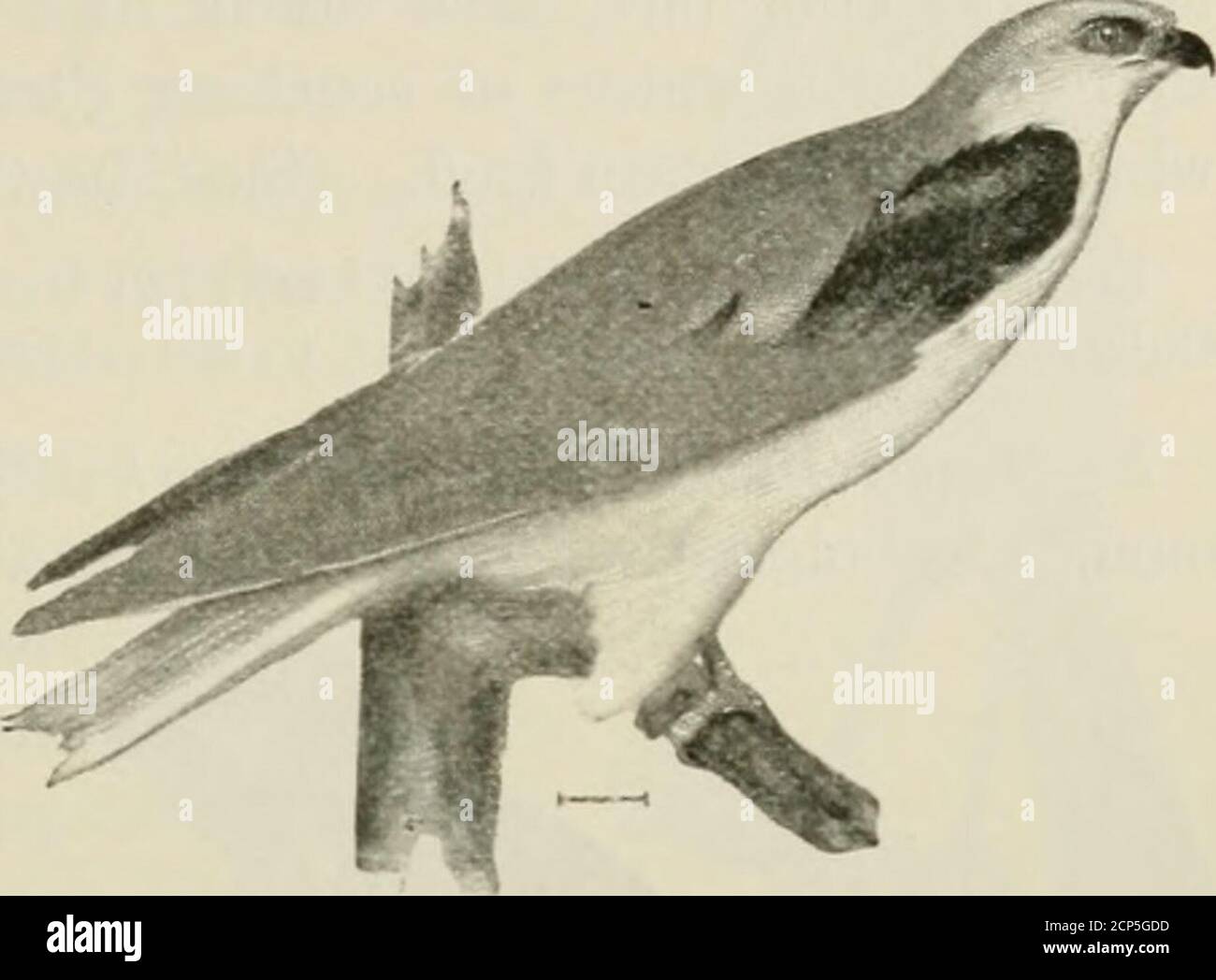 Tarsus mountains hi-res stock photography and images - Alamy