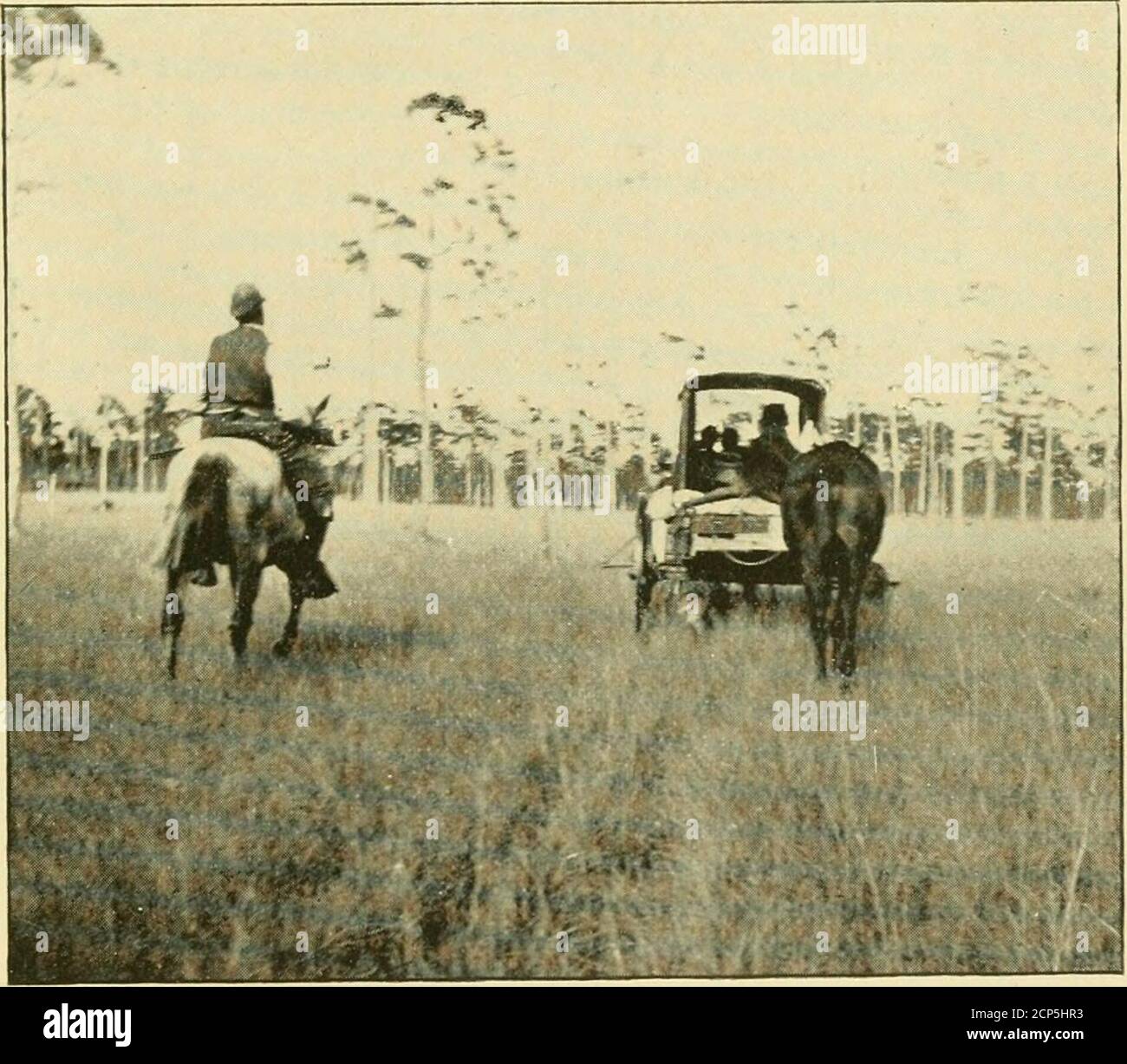 Seminole indians hunting hi-res stock photography and images - Alamy