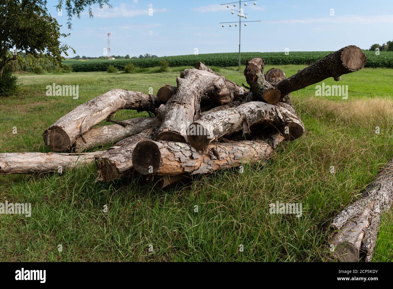 Background of stacked, dry chopped logs used for firewood Stock Photo ...