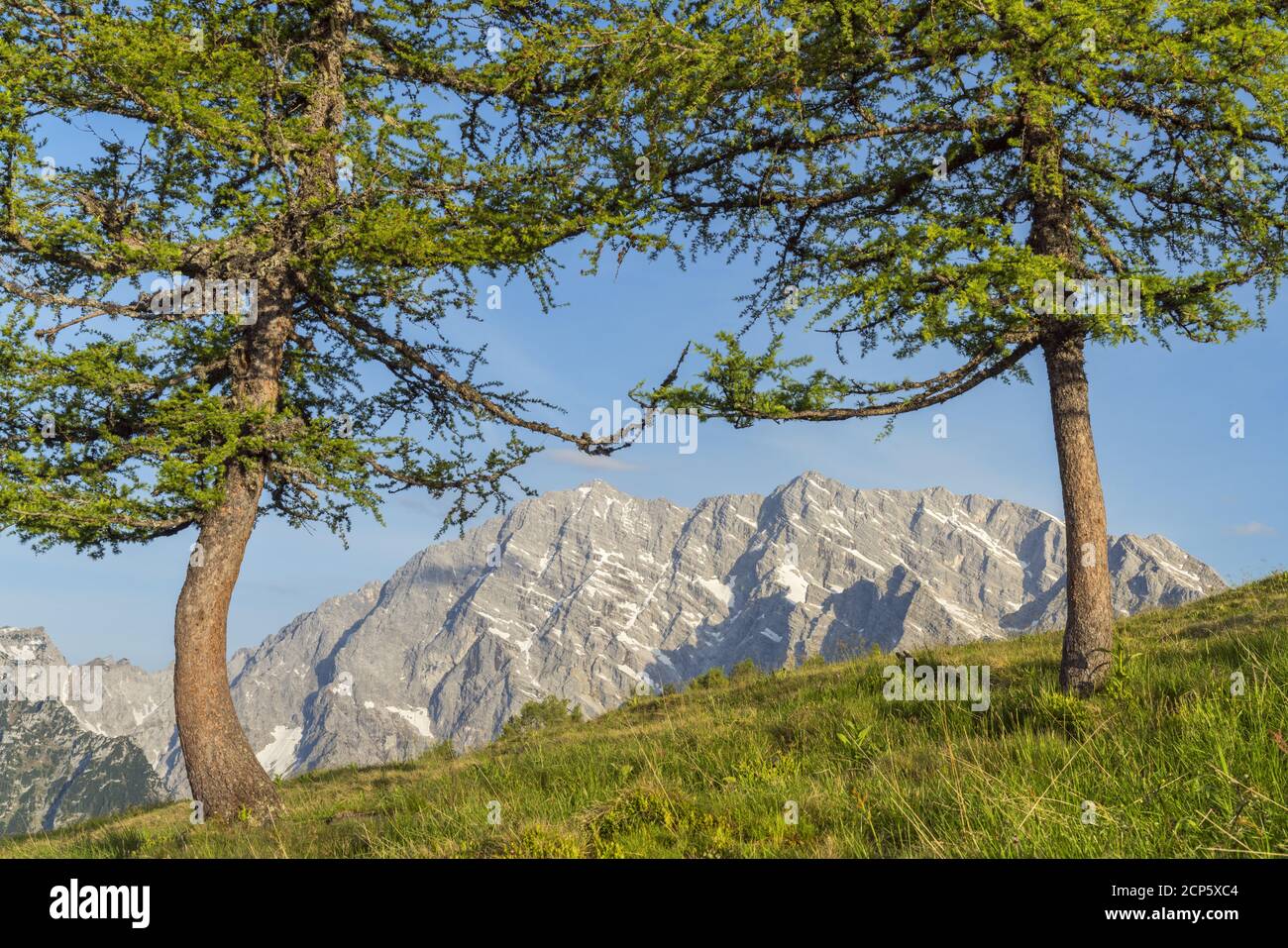 View from Gotzenalm to Watzmann (2,713 m), on the hike around the ...