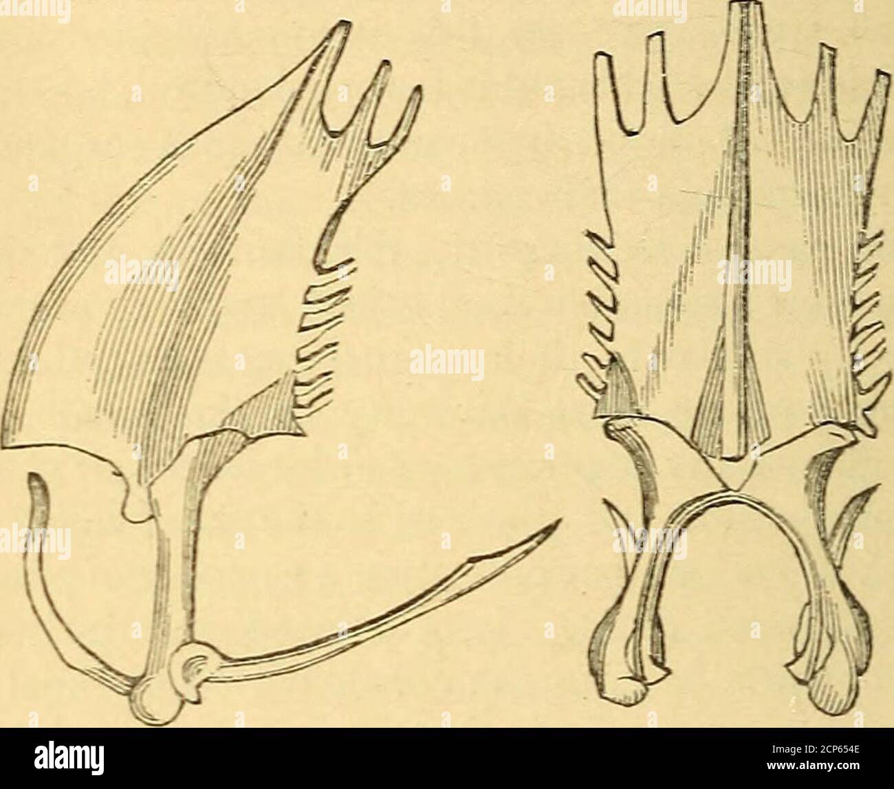 Moderate depth hi-res stock photography and images - Alamy