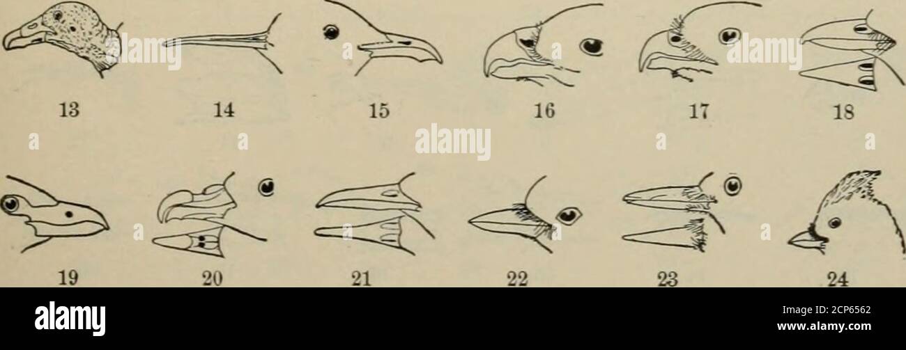 Hrane hi-res stock photography and images - Alamy