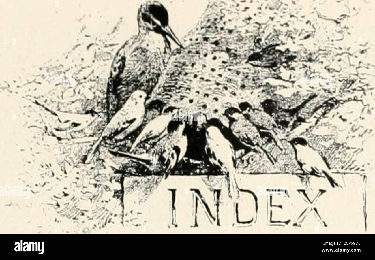 Ants calendar hi-res stock photography and images - Alamy